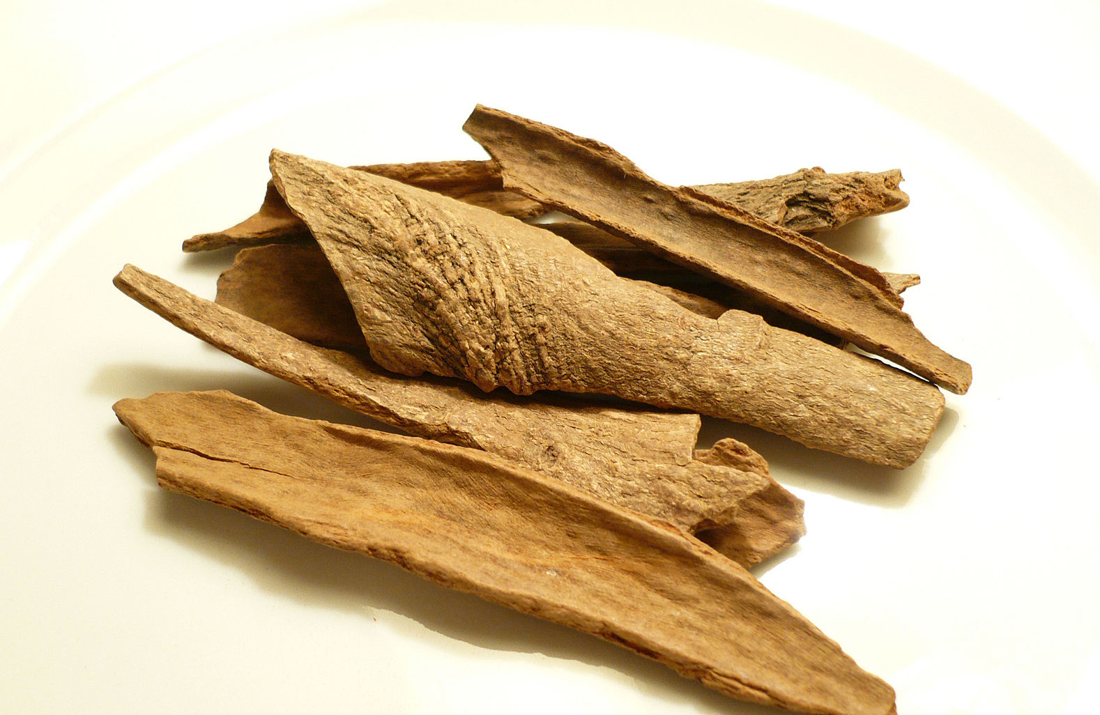 Saigon Cinnamon | Local Cinnamon From Vietnam, Southeast Asia