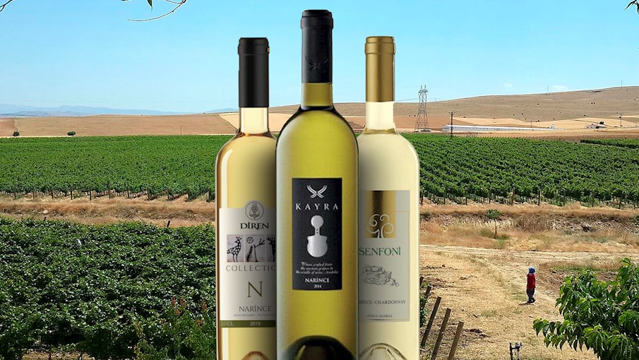 8 Best Alcoholic Beverages in Turkiye - TasteAtlas