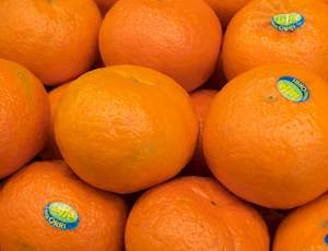 Israeli Food Map | Local Food in Israel | TasteAtlas