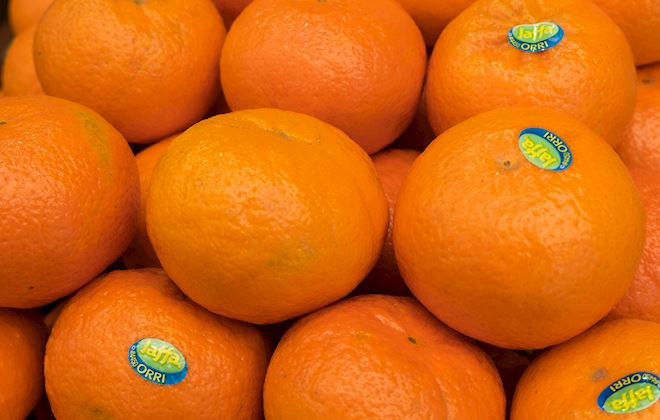 Fruits of the World: 253 Fruit Types | TasteAtlas