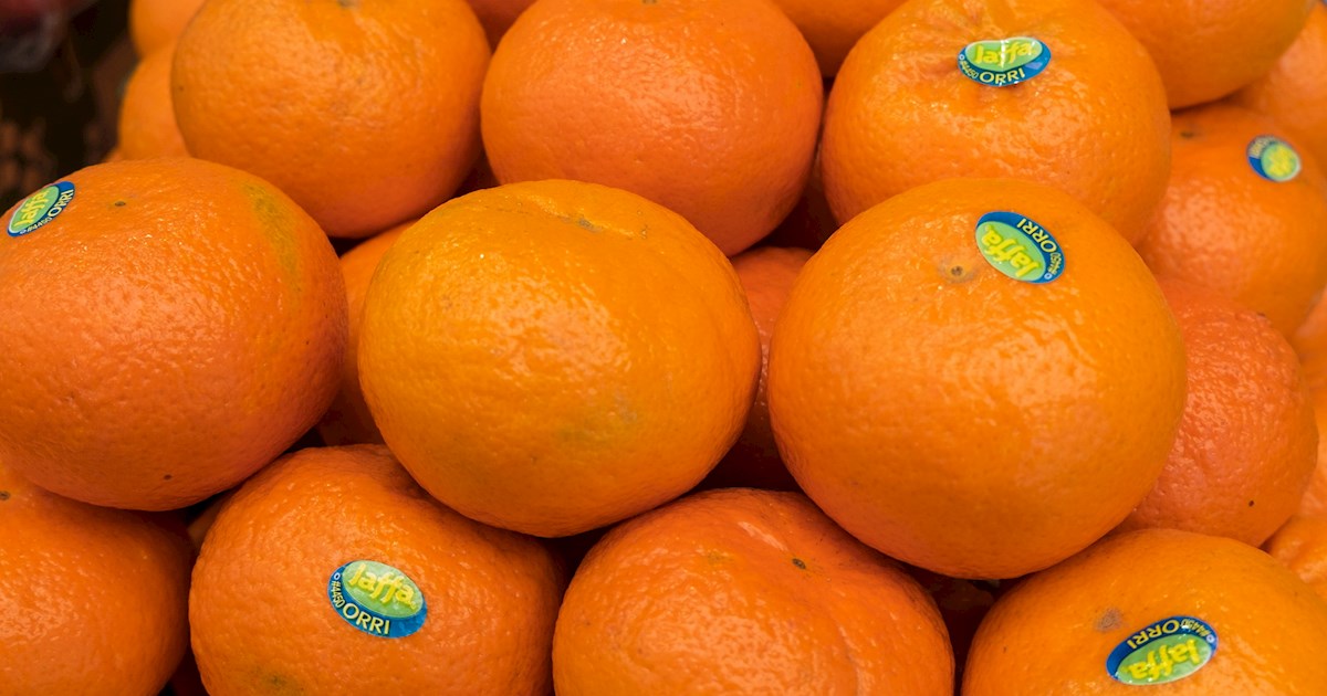 Jaffa Orange | Local Orange From Tel Aviv, Israel