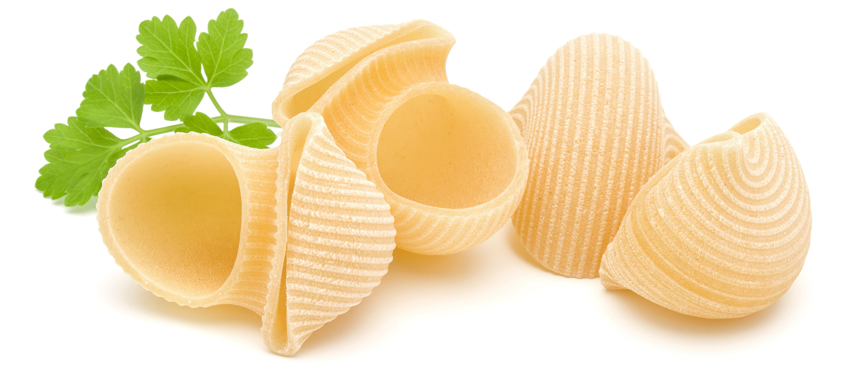 Lumache | Local Pasta Variety From Italy