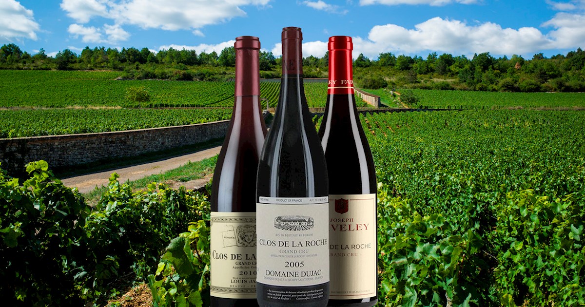Clos de la Roche | Local Wine Appellation From Côte-d'Or, France