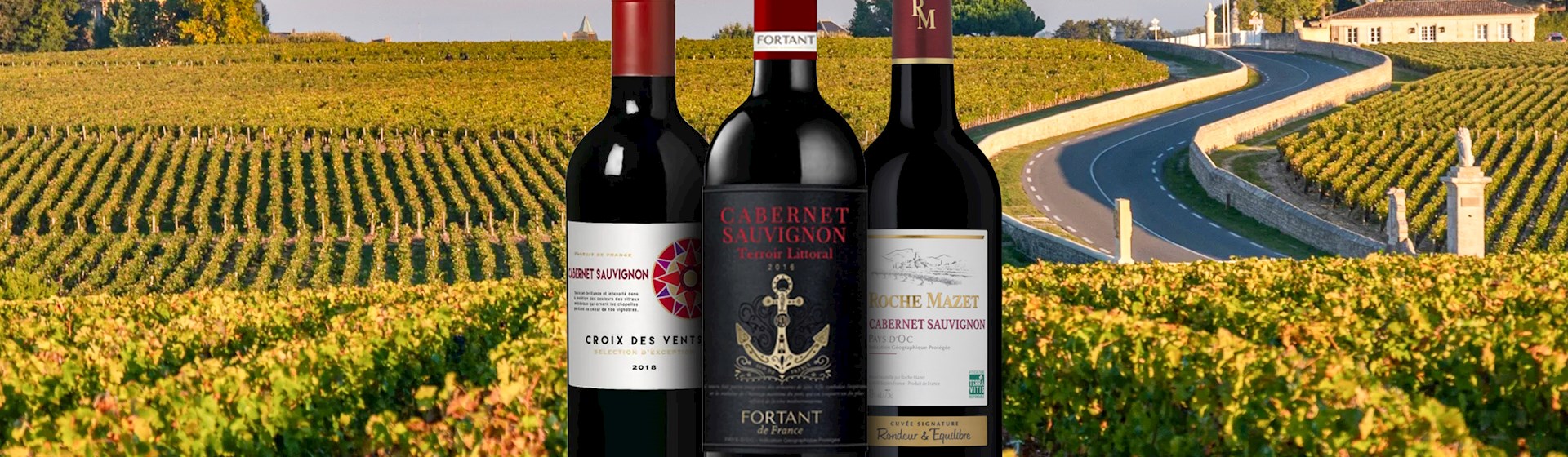 6 Best Red Wines in Bordeaux - TasteAtlas