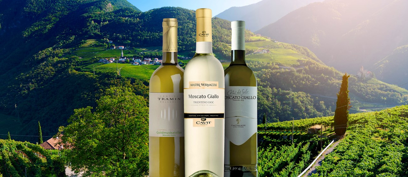 Moscato Giallo | Local Wine Variety From Trentino-South Tyrol, Italy