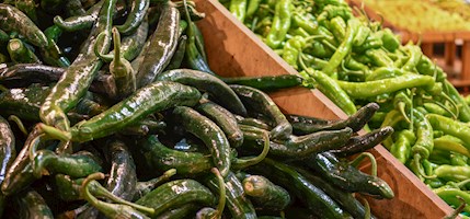 TasteAtlas - Local food around the world