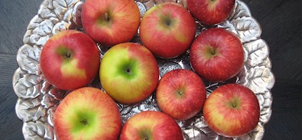 TasteAtlas - Local food around the world