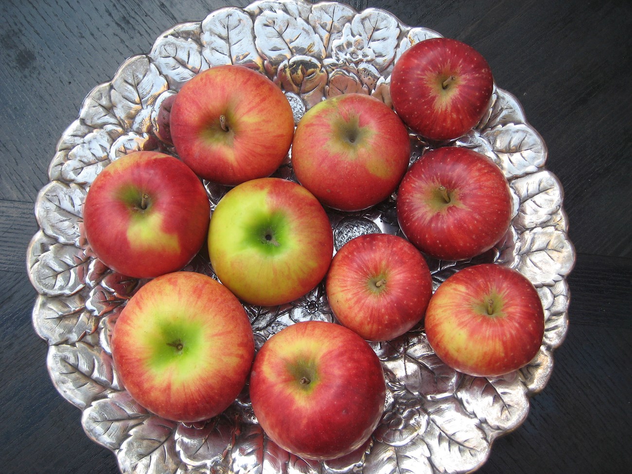 Fireside Apples | Local Apple From Minnesota, United States of America