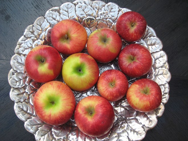 American Apple Varieties: 49 Apple Variety Types in United States of ...