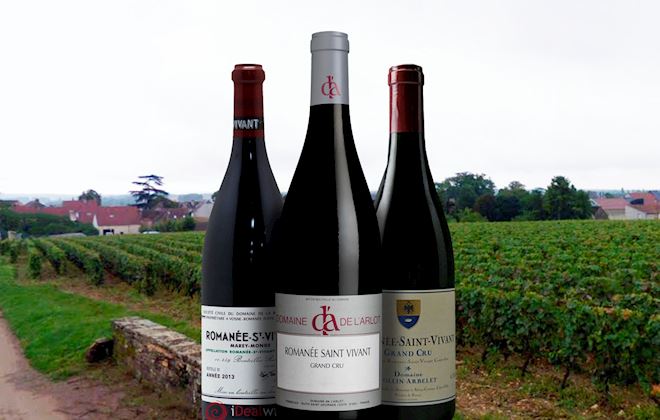 French Red Wines: 74 Red Wine Types in France | TasteAtlas