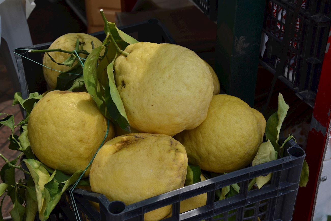 Limone Costa D'Amalfi | Local Lemon From Province of Salerno, Italy