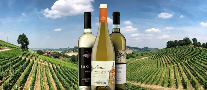 Italian White Wines: 81 White Wine Types in Italy | TasteAtlas