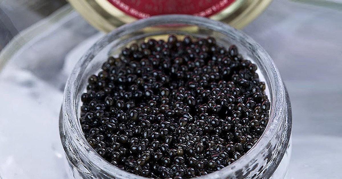 American Fish Products: 2 Fish Product Types in United States of ...