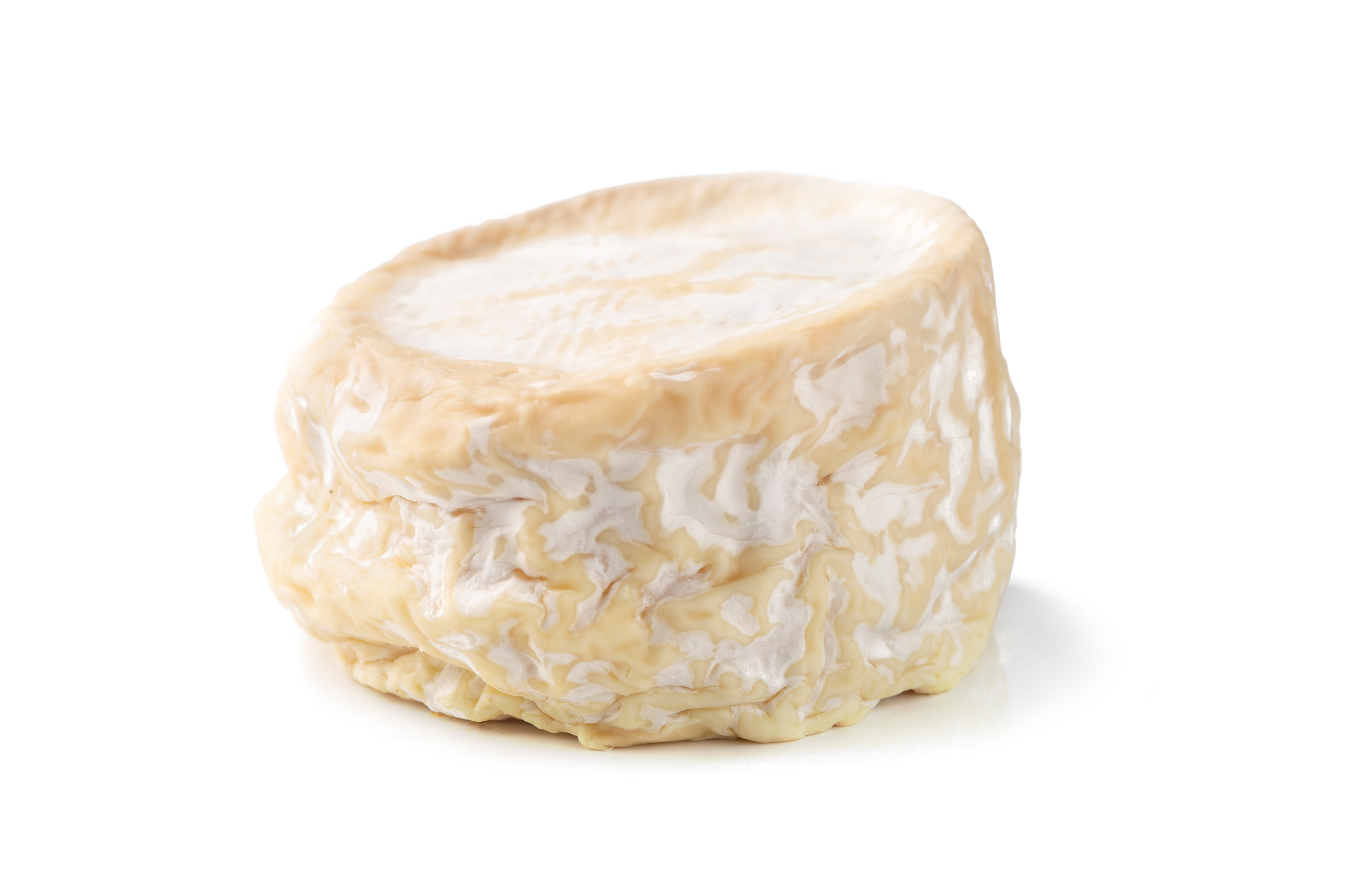 Oregonian Cheeses: 27 Cheese Types in Oregon | TasteAtlas