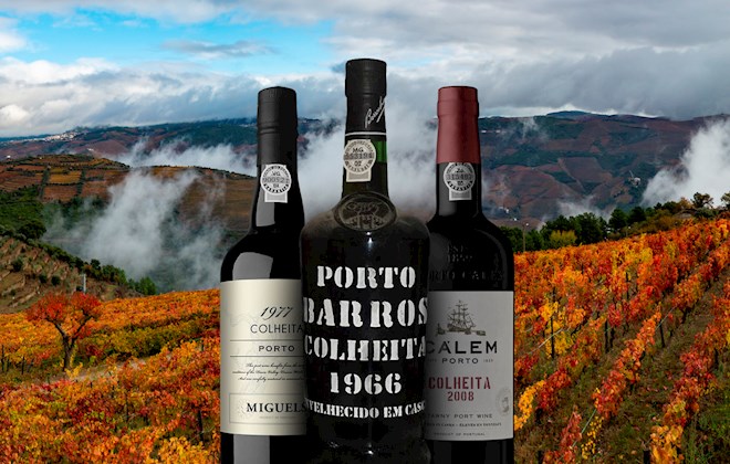 Fortified Wines of the World: 37 Fortified Wine Types | TasteAtlas