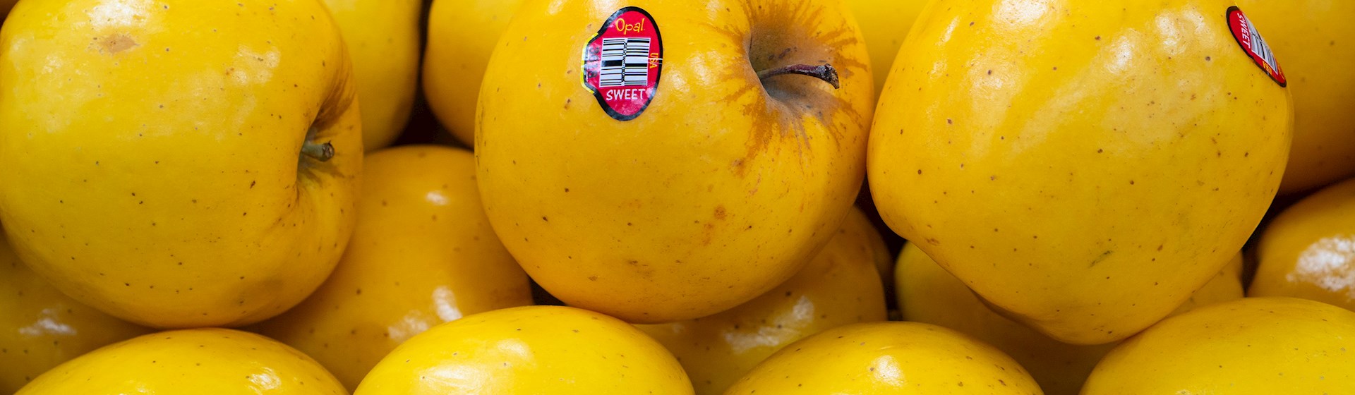 6 Best Apple Varieties in Central Europe - TasteAtlas