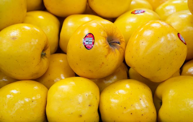 Fruits of the World: 253 Fruit Types | TasteAtlas