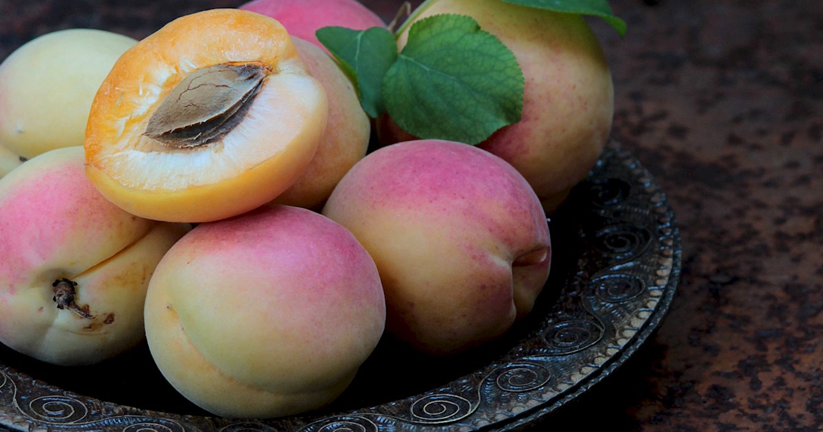 Armenian Apricot | Local Apricot From Armenia, Eastern Europe