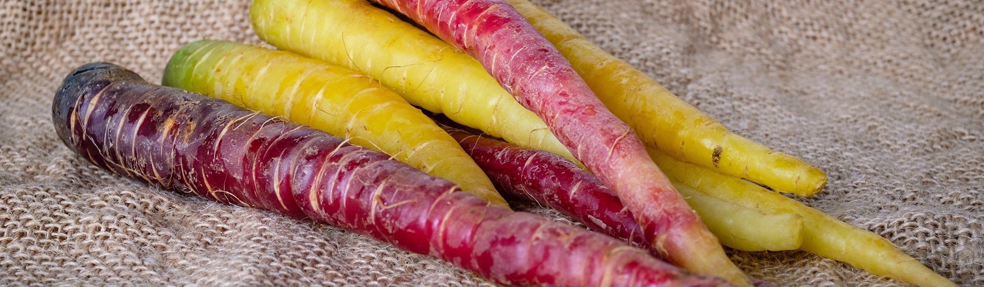 Top 5 Italian Root Vegetables - TasteAtlas