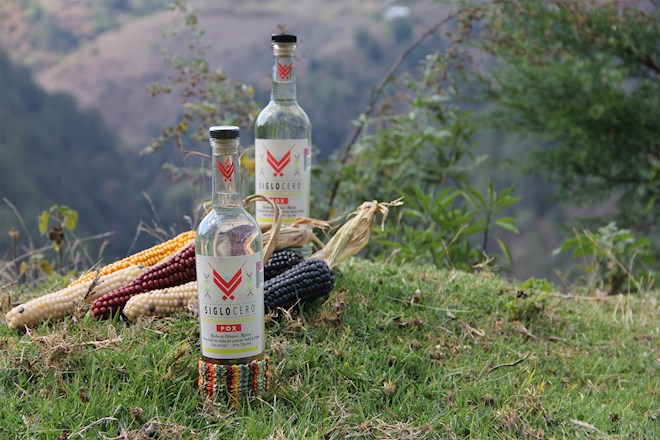 Mexican Alcoholic Beverages: 35 Alcoholic Beverage Types in Mexico ...