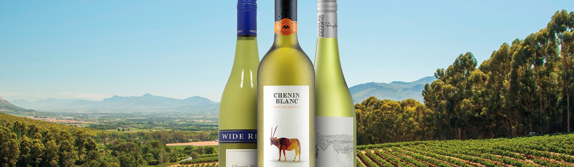 100 Best Wines in South Africa - TasteAtlas