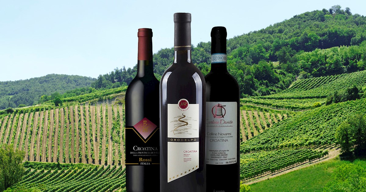 Croatina | Local Wine Variety From Lombardy, Italy