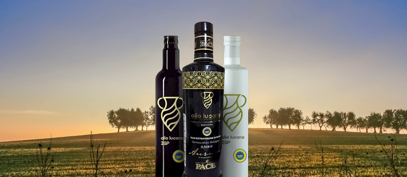 Olio Lucano | Local Olive Oil From Basilicata, Italy