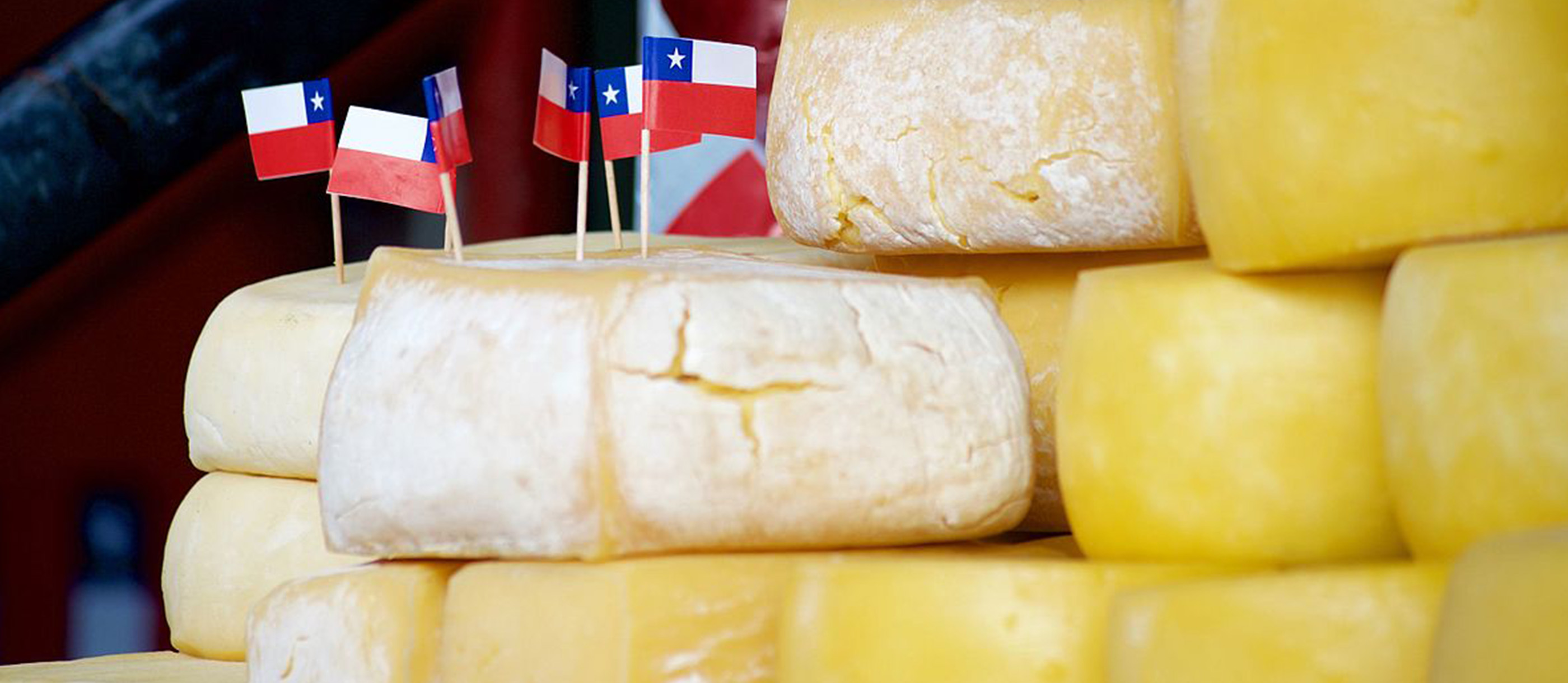 Chanco | Local Cheese From Chanco, Chile