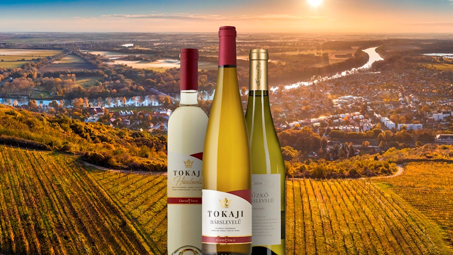 56 Best Alcoholic Beverages in Hungary - TasteAtlas