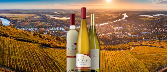 Hungarian Wine Varieties: 9 Wine Variety Types in Hungary | TasteAtlas