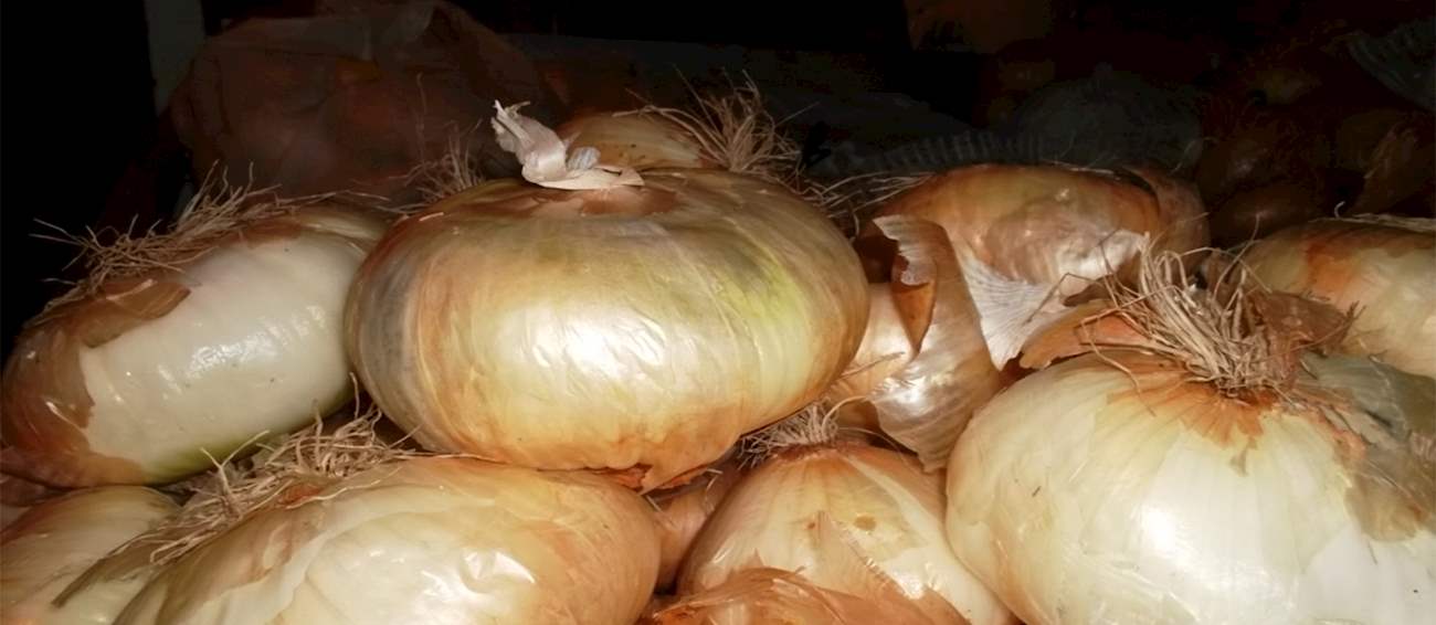 Cipolla di Giarratana | Local Onion From Giarratana, Italy