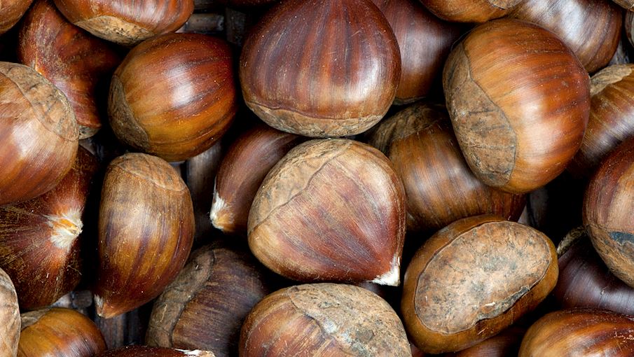 4 Best Nuts and Seeds in Campania - TasteAtlas