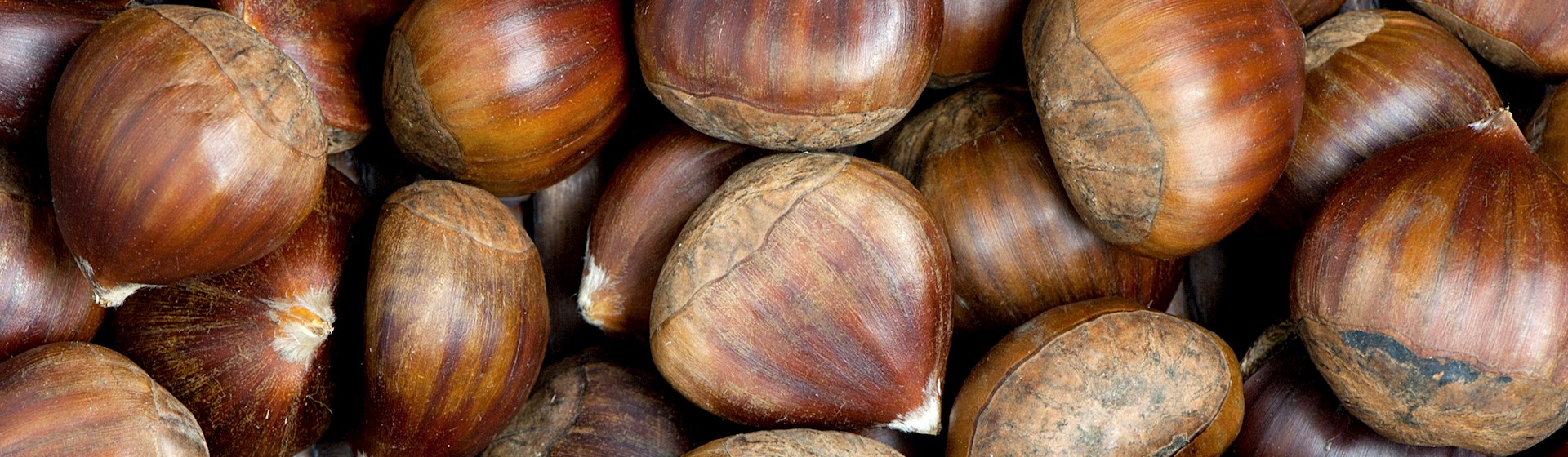 13 Best Chestnuts in Italy - TasteAtlas