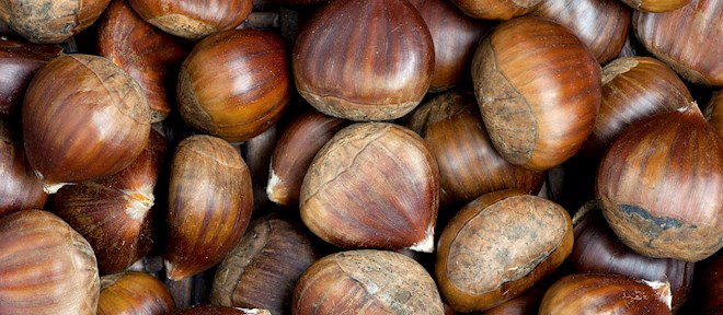 Campanian Nuts: 4 Nuts Types in Campania | TasteAtlas