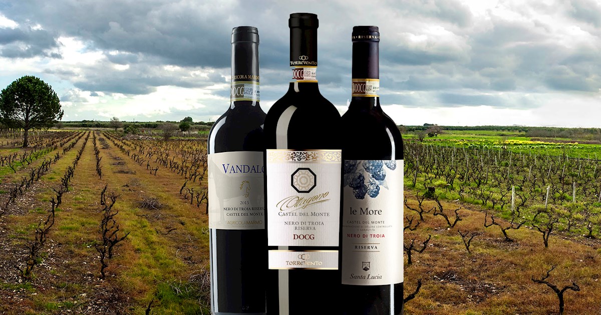 Castel Del Monte Nero di Troia Riserva | Local Wine Appellation From ...