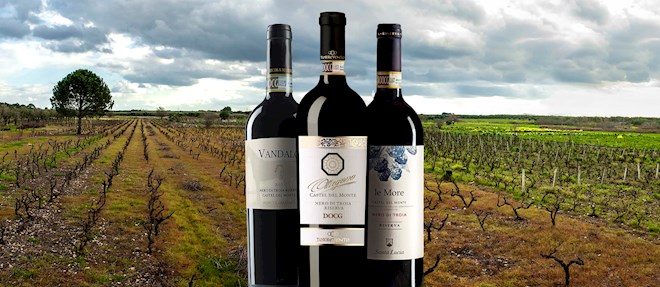Apulian Red Wines: 11 Red Wine Types in Apulia | TasteAtlas