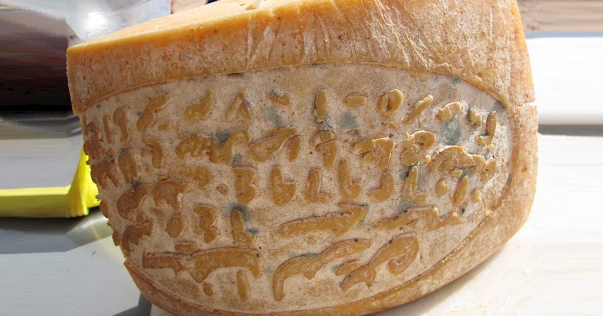 Rumi | Local Cheese From Egypt