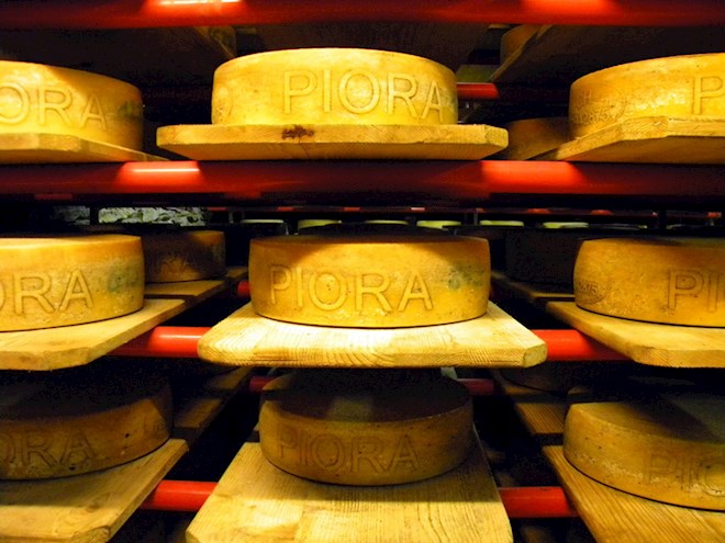 Swiss Cheeses: 51 Cheese Types in Switzerland | TasteAtlas