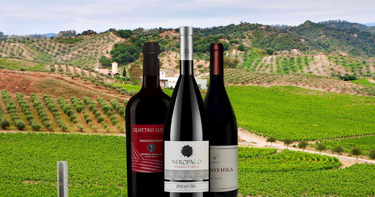 Magliocco Dolce | Local Wine Variety From Calabria, Italy