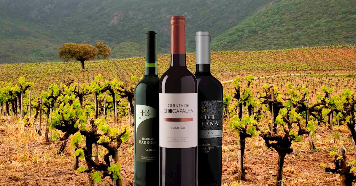 12 Best Red Wines in Portugal - TasteAtlas