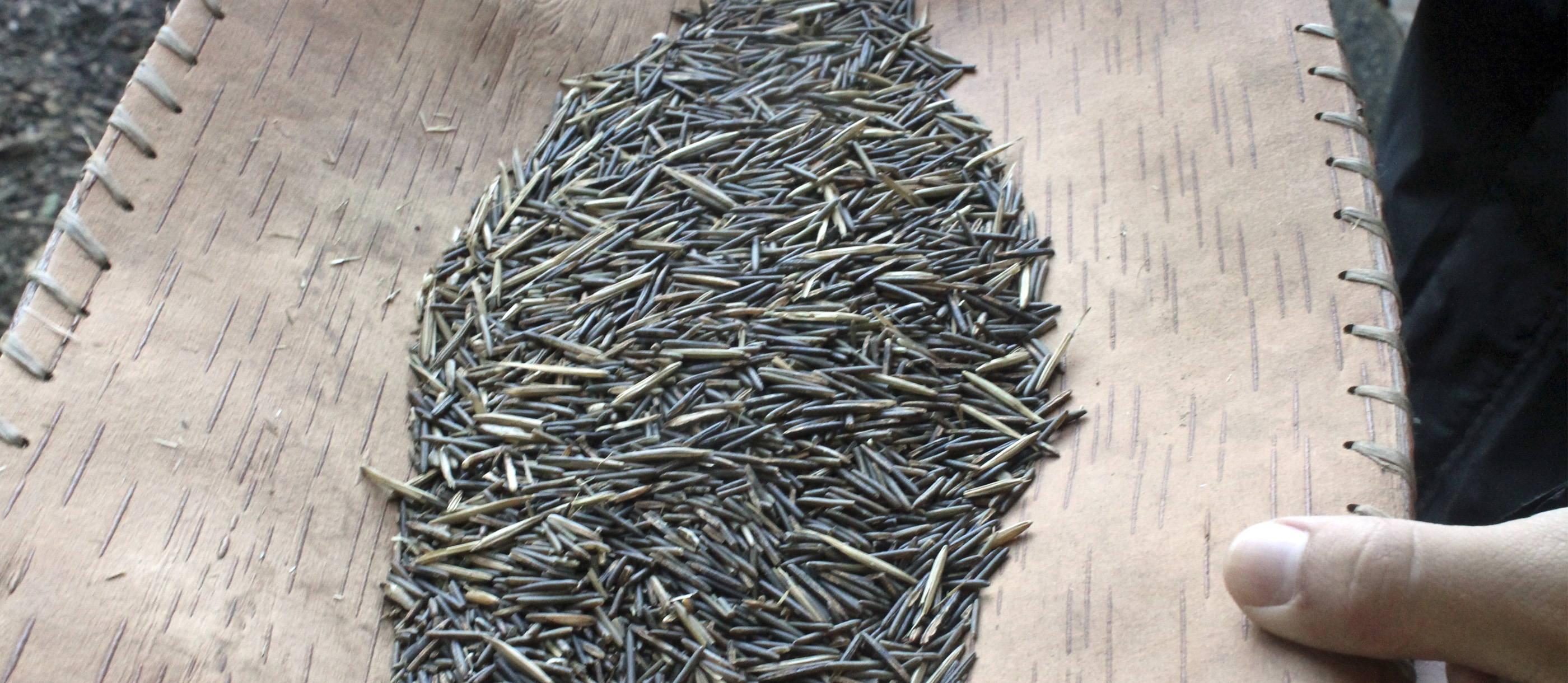 3 Most Popular North American Grains - TasteAtlas