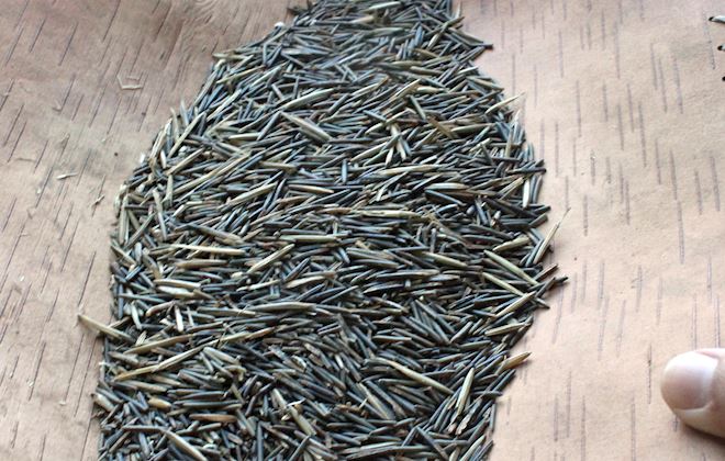 Grains of the World: 45 Grain Types | TasteAtlas