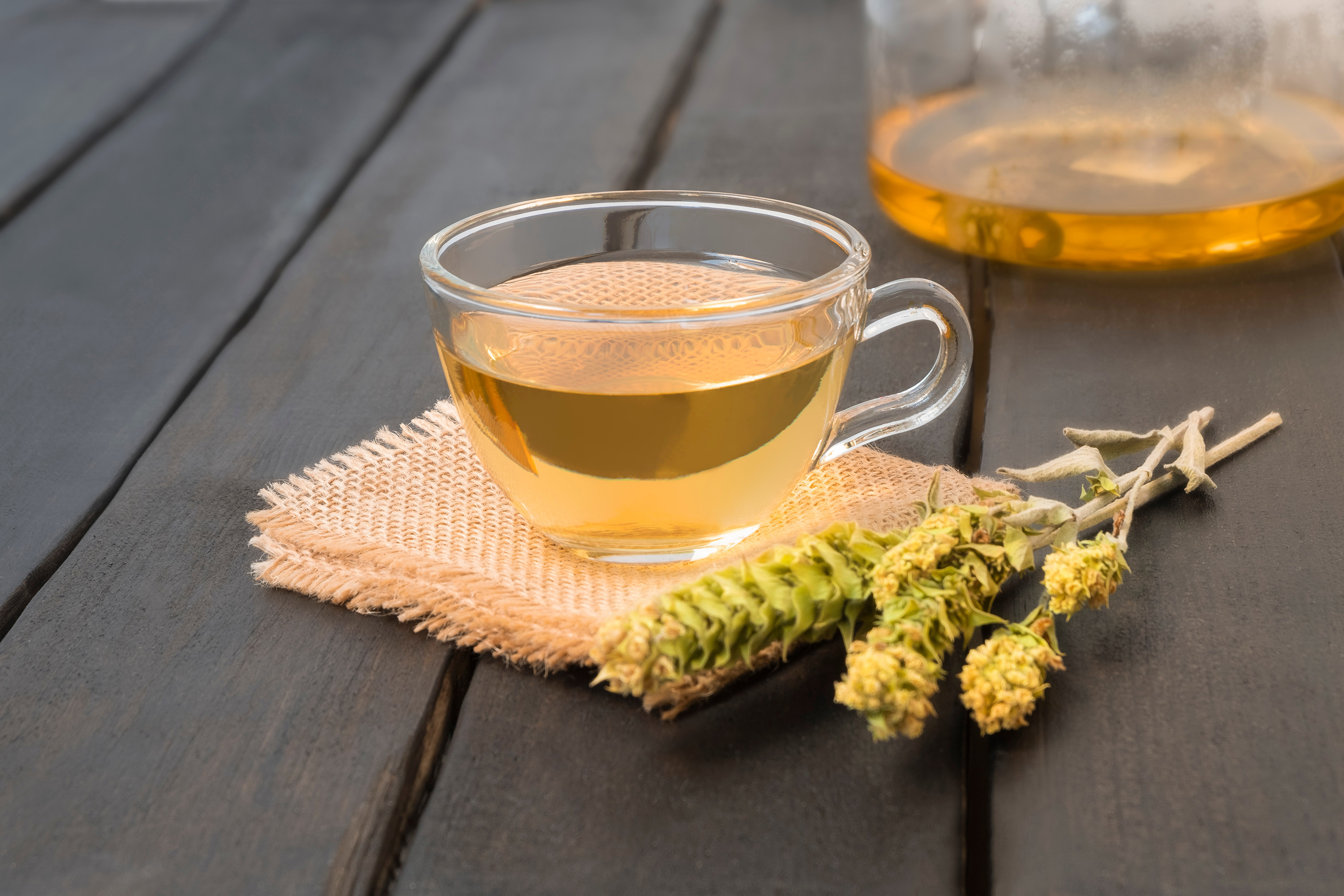 Mursalski Chai | Local Herbal Infusion From Smolyan Province, Bulgaria