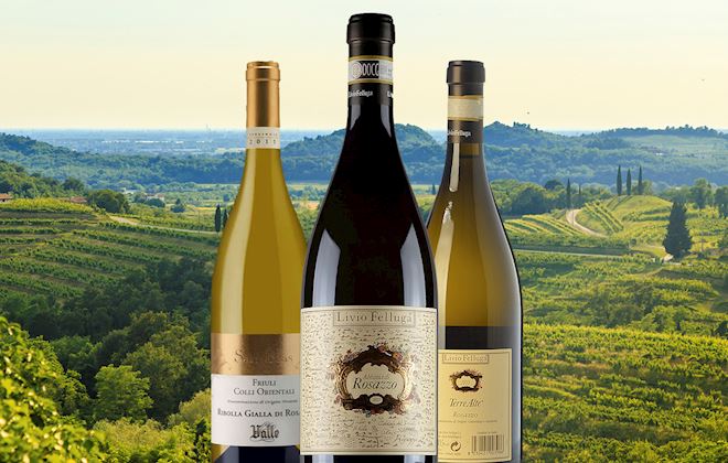 Italian White Wines: 37 White Wine Types in Italy | TasteAtlas