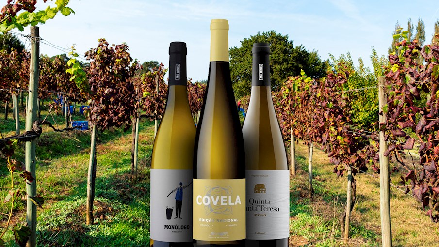10 Most Popular Portuguese White Wines - TasteAtlas