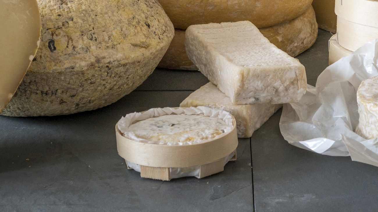 St Jude | Local Cheese From Bungay, England