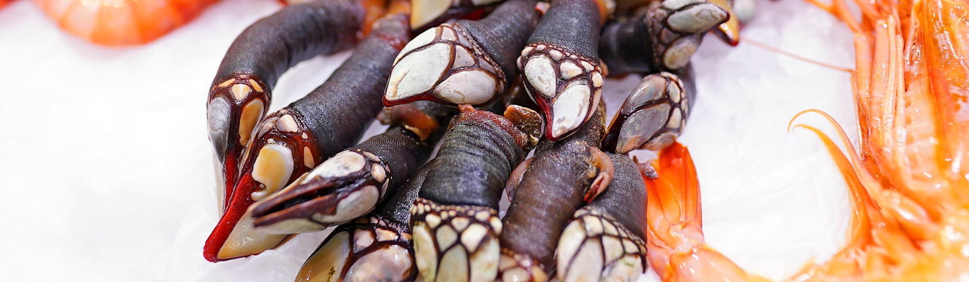 Top 14 Portuguese Seafood - TasteAtlas