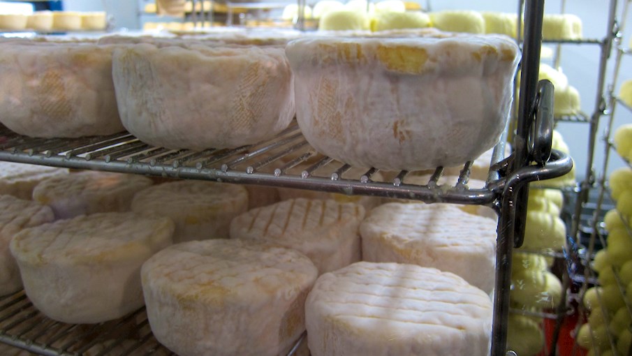 6 Best Washed Rind Cheeses in California - TasteAtlas