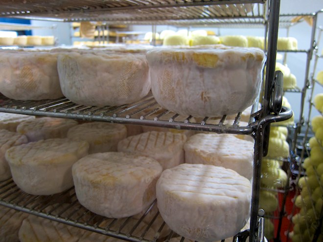 Californian Washed Rind Cheeses: 6 Washed Rind Cheese Types in ...