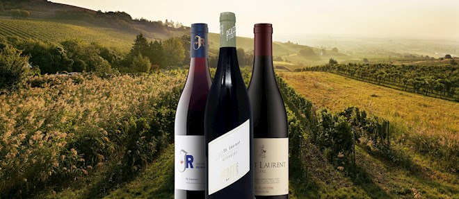 Austrian Red Wines: 4 Red Wine Types in Austria | TasteAtlas